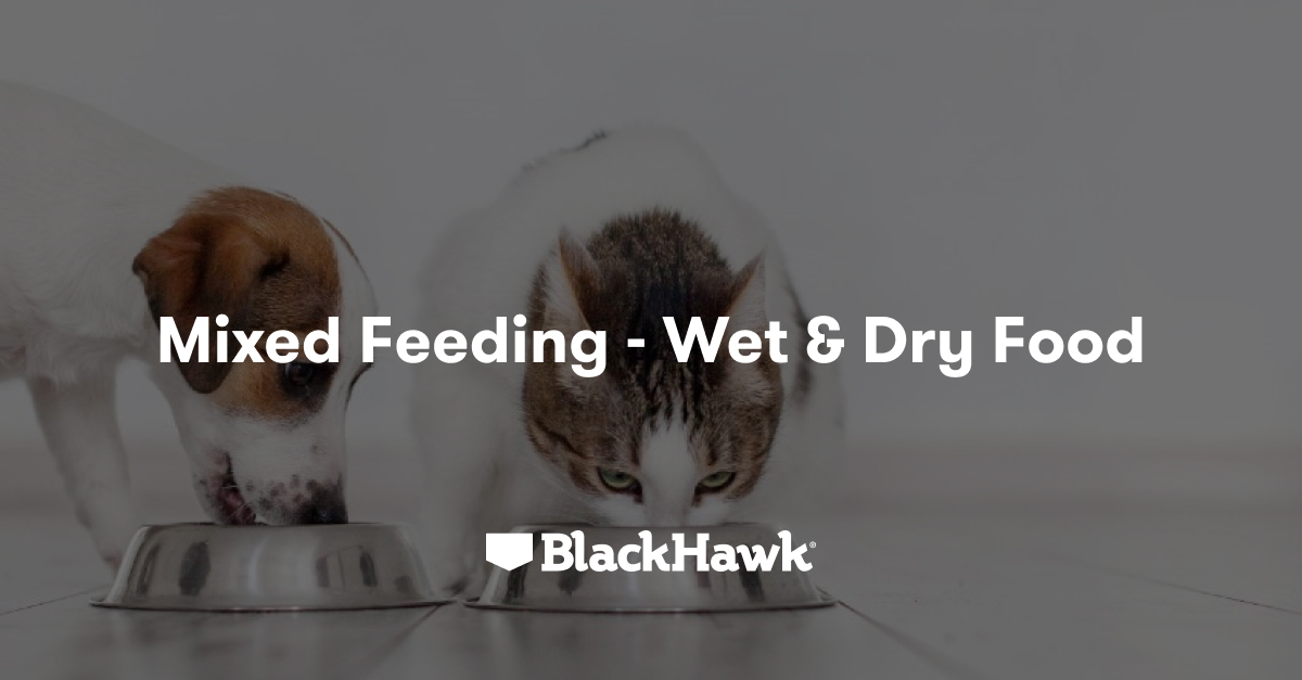 Feeding My Pet Wet and Dry Food - Black Hawk