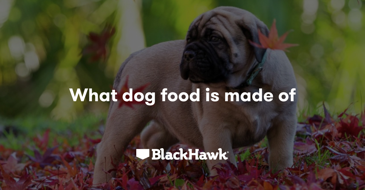 Dog food ingredients, learn what to look for to help you make smarter ... Dog food ingredients, learn what to look for to help you make smarter ...