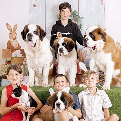 Testimonials - Black Hawk