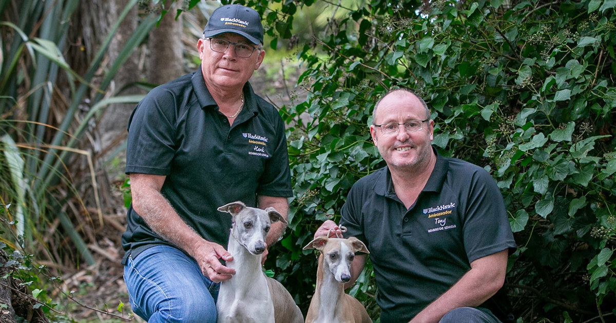 Hank Faifua & Tony Fox, Benbridge Whippets - Black Hawk