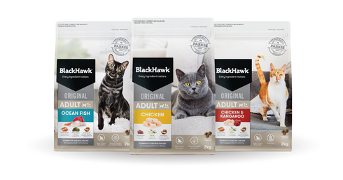 Natural Cat Food | Original Range | Black Hawk - Black Hawk