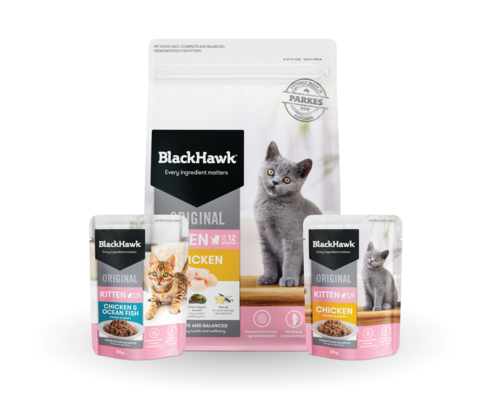 Kitten Food from Black Hawk | Australian-Made - Black Hawk
